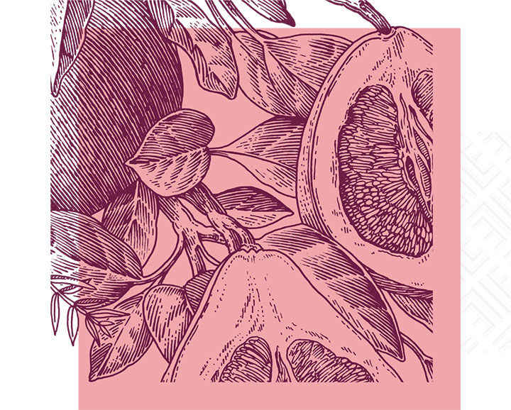 Freshly Infused | Tonic on Tap | Draught Tonic | The London Essence Co.